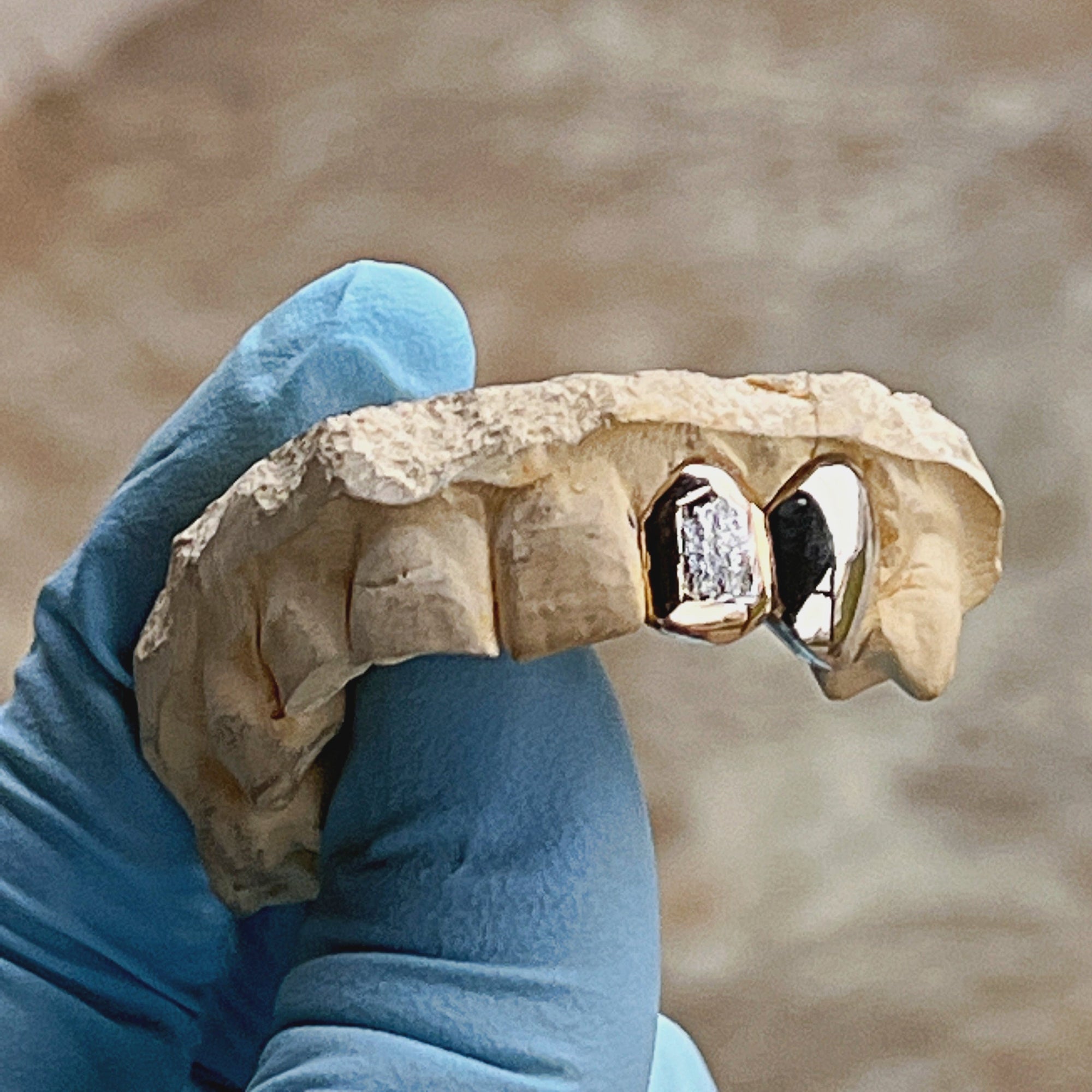 10K Gold Double Side One Diamond Dust One Solid Canine Tooth Custom Gr