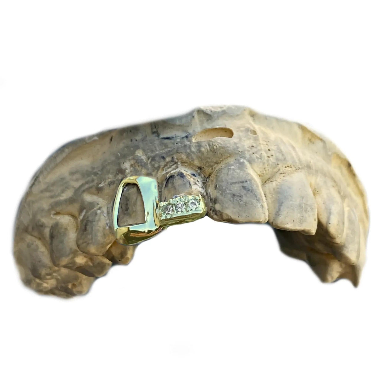 10K Gold Inlay Custom Grillz Open Double Canine Incisor Iced CZ Side B