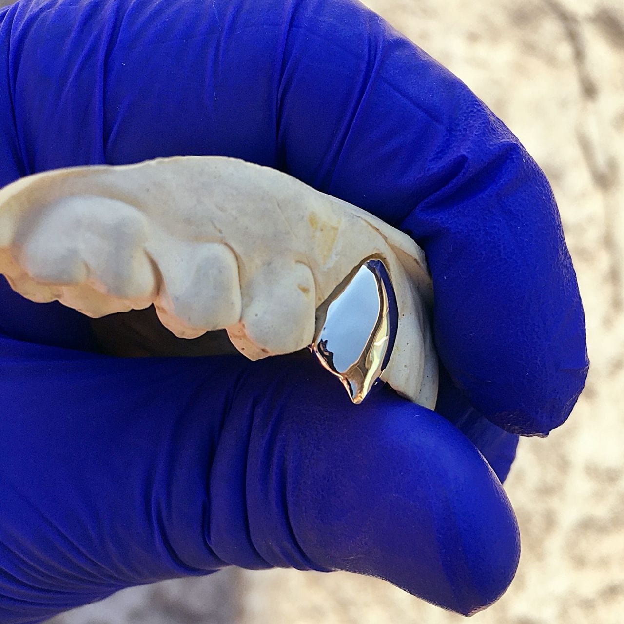 10K Gold or 14K Gold Vampire Fang Single Canine Tooth Custom