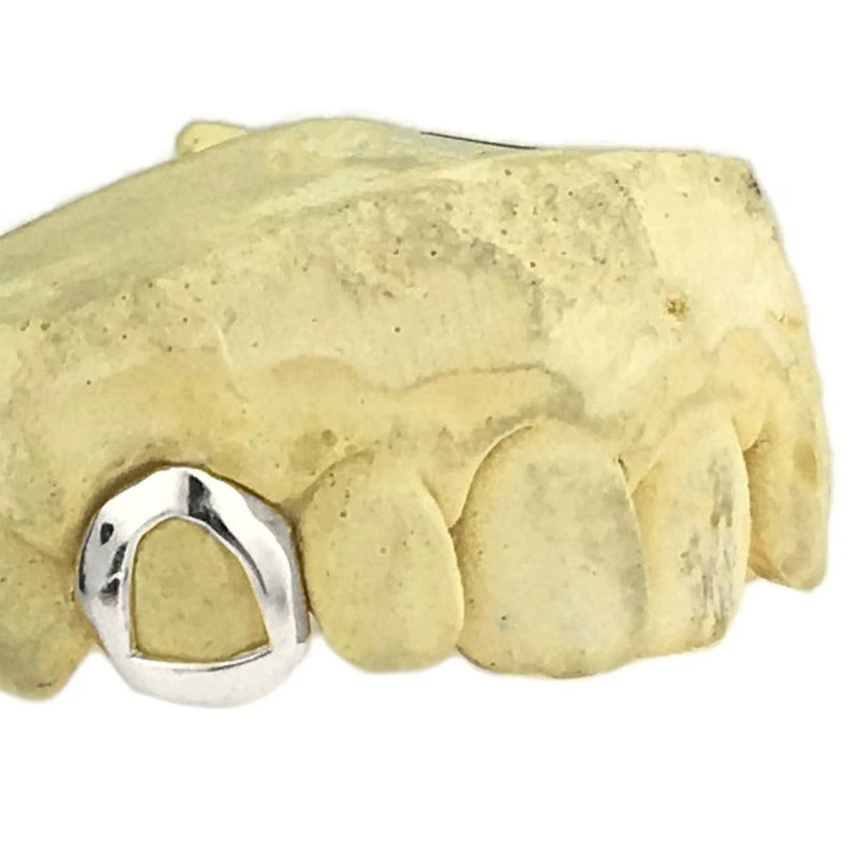 10K White Gold Single Open Face Cap Custom Grillz (Choose Any Tooth)