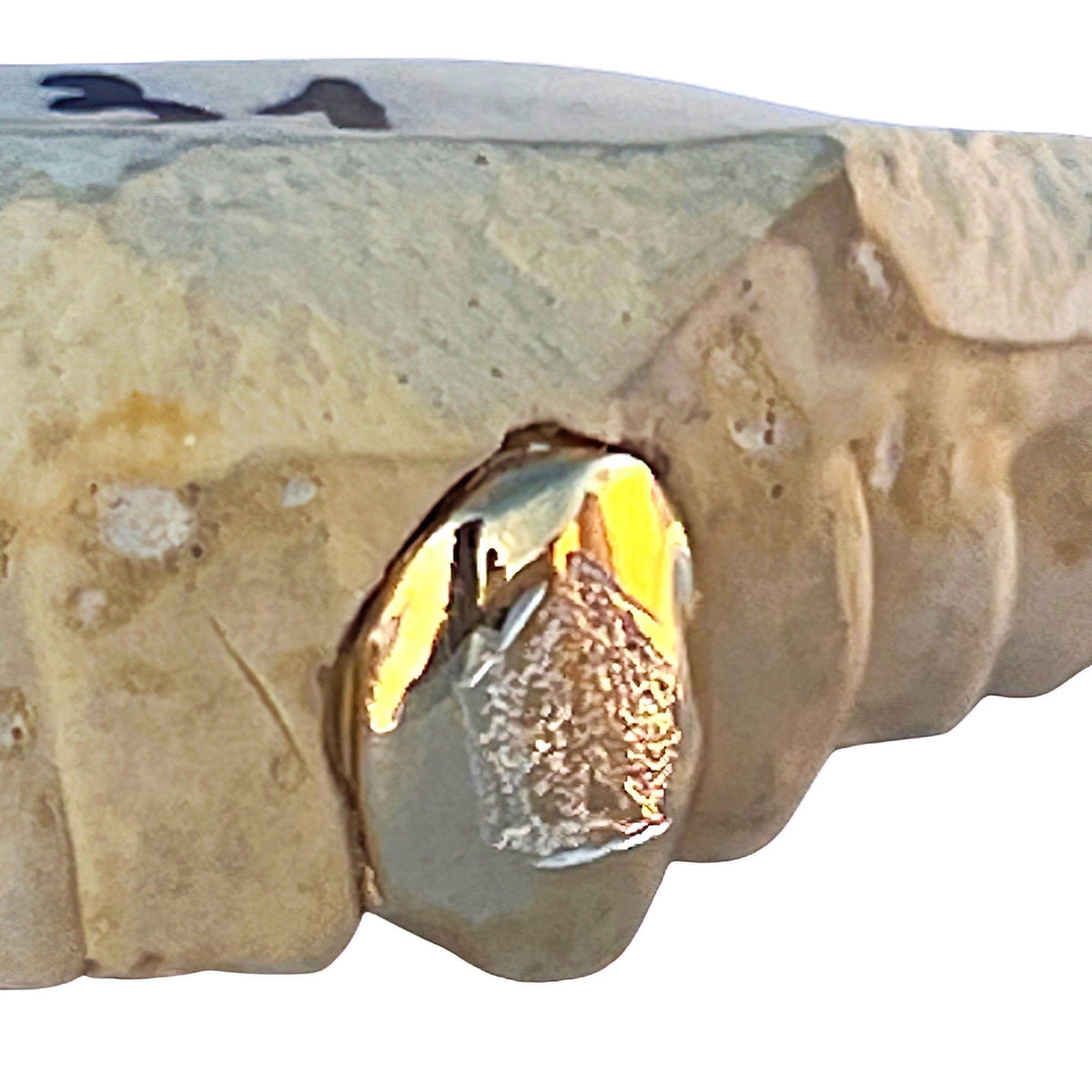 14K Gold Single Cap Gold Diamond Dust w/Border One Tooth Custom Grillz