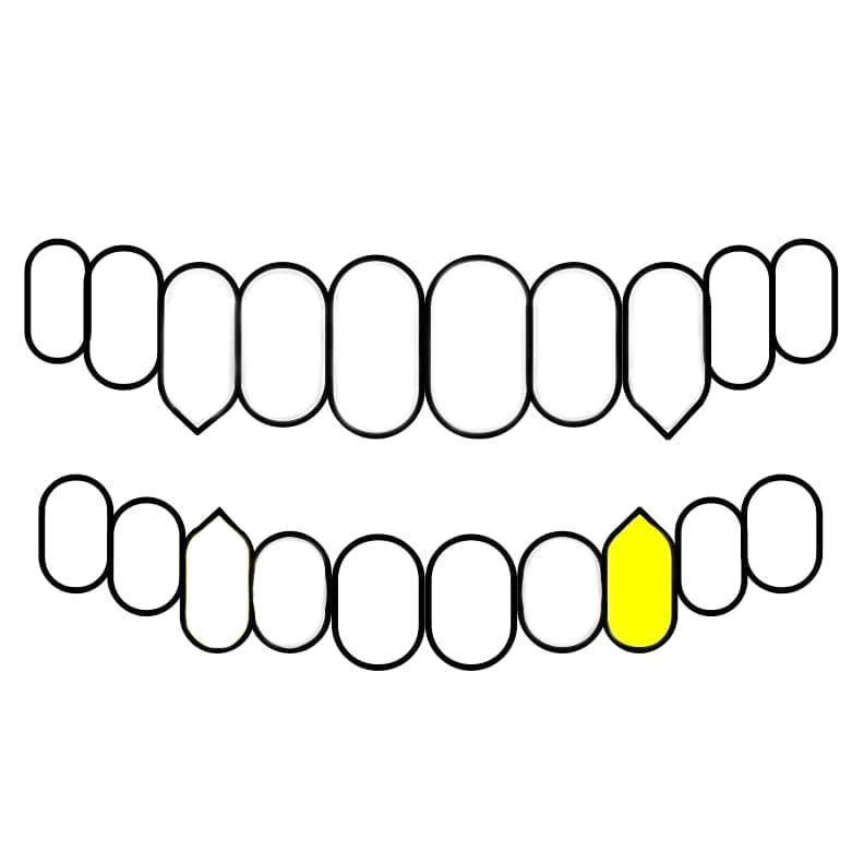 10K Gold or 14K Gold Vampire Fang Single Canine Tooth Custom