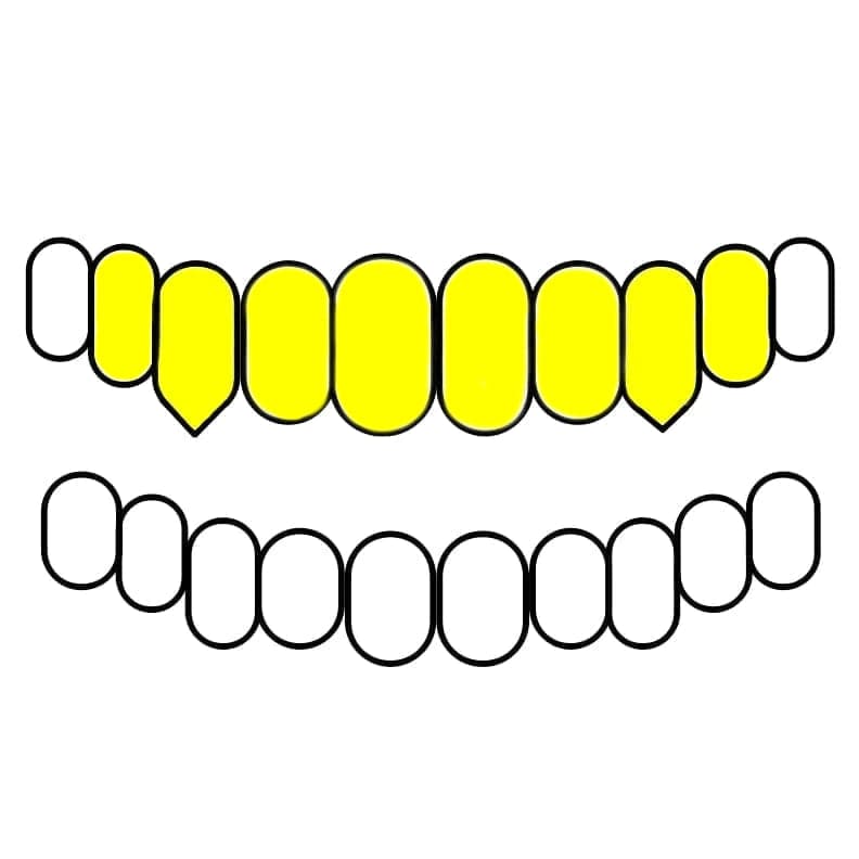 Real 10K Gold Vampire Teeth Fangs Custom Grillz