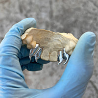 925 Sterling Silver Double Fangs Extended Curved Extra Long Custom Vam