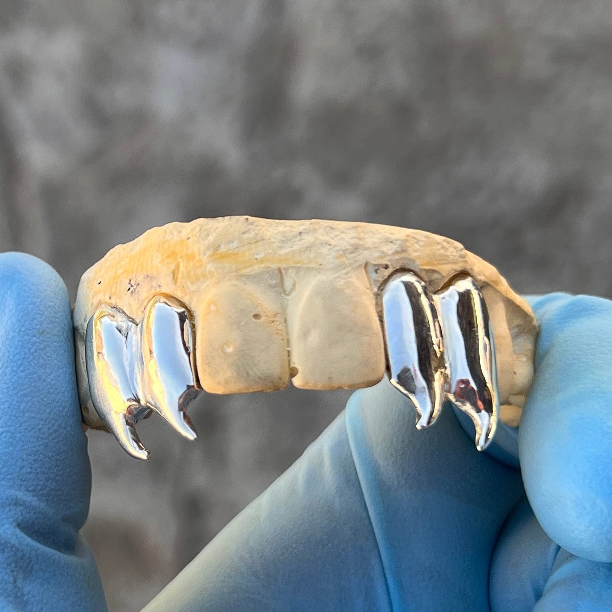 925 Sterling Silver Double Fangs Extended Curved Extra Long Custom Vam