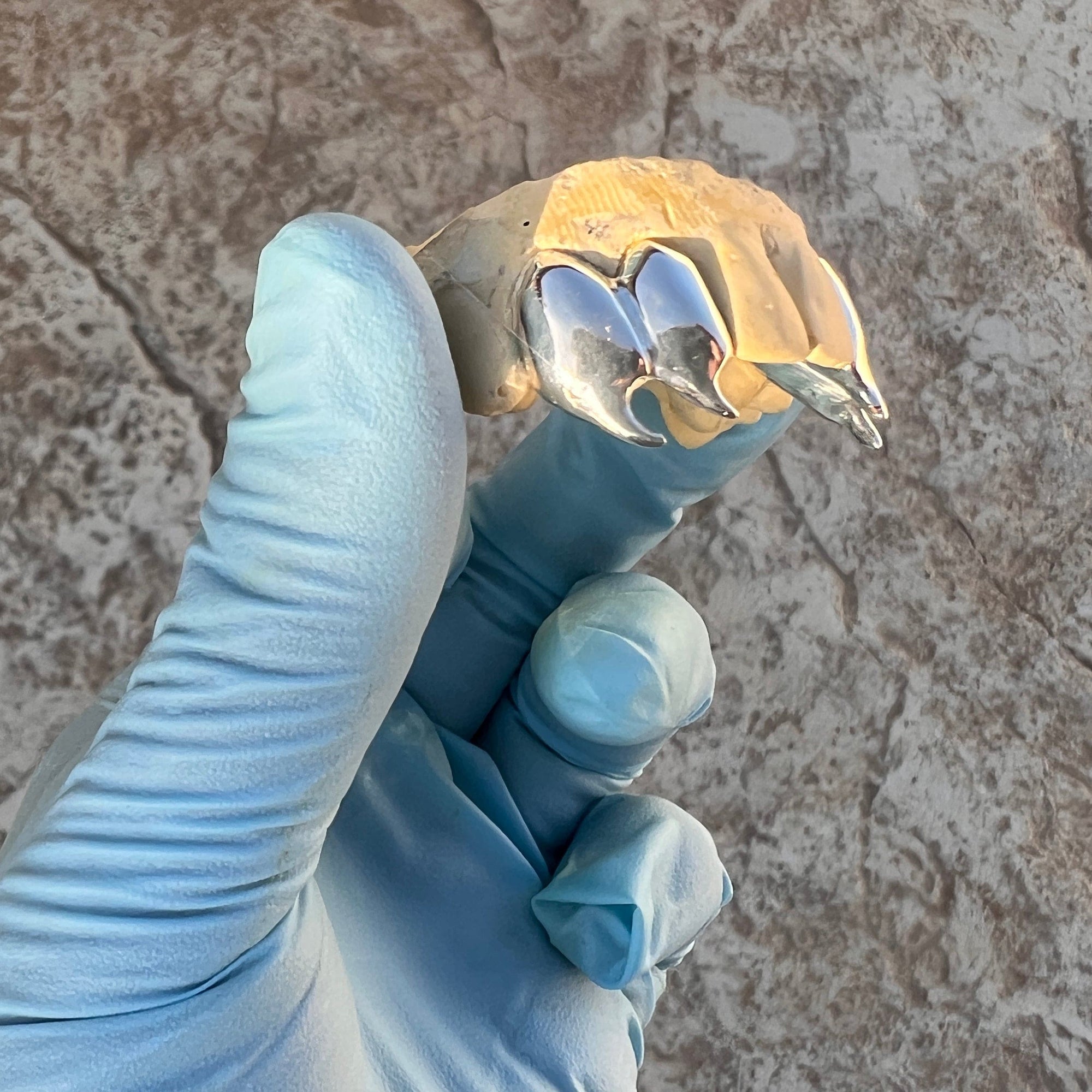 925 Sterling Silver Double Fangs Extended Curved Extra Long Custom Vam