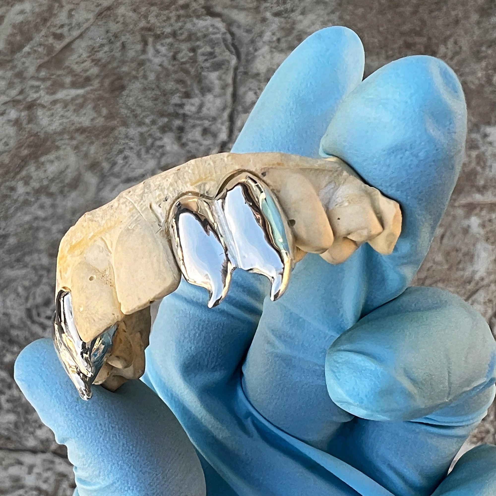 925 Sterling Silver Double Fangs Extended Curved Extra Long Custom Vam