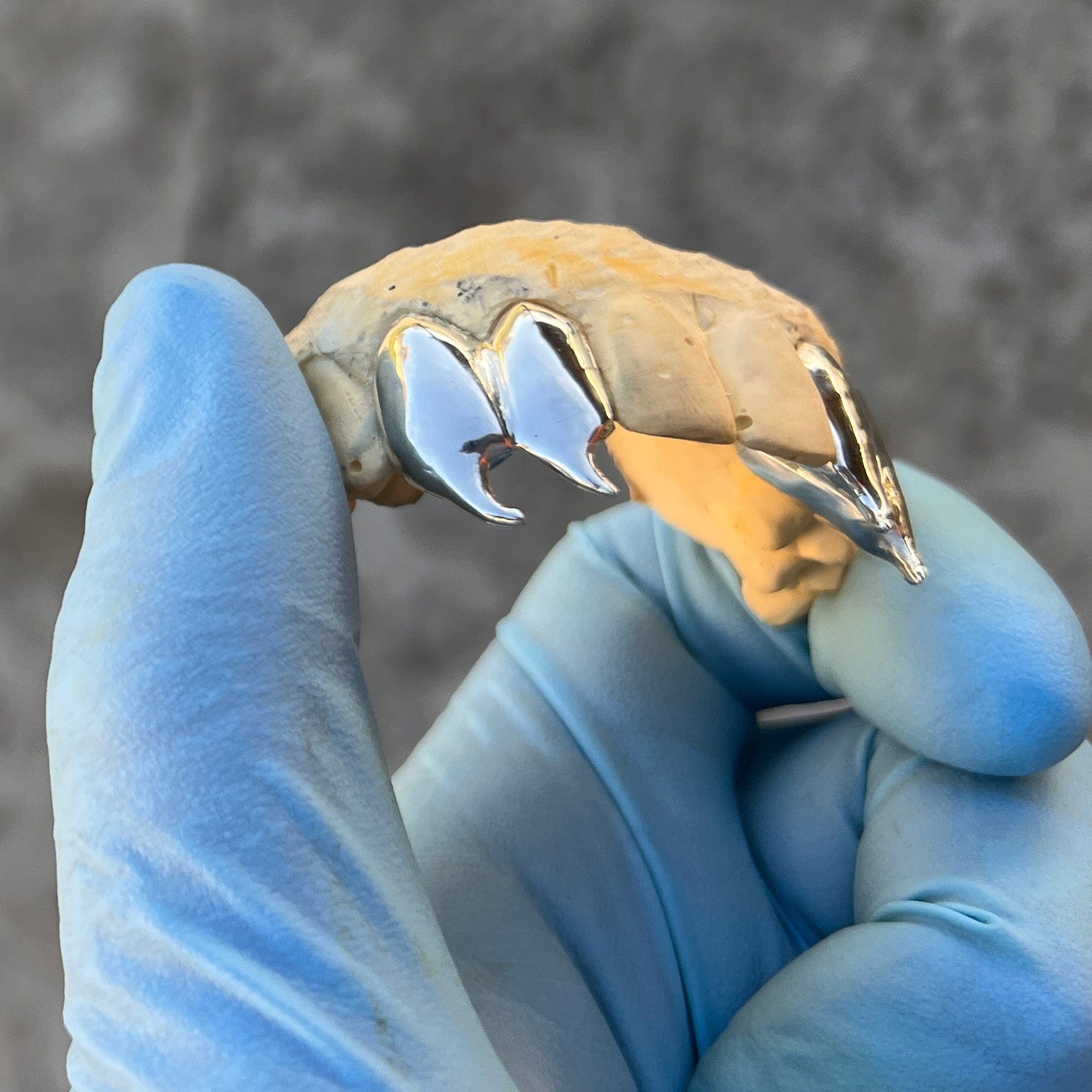 925 Sterling Silver Double Fangs Extended Curved Extra Long Custom Vam