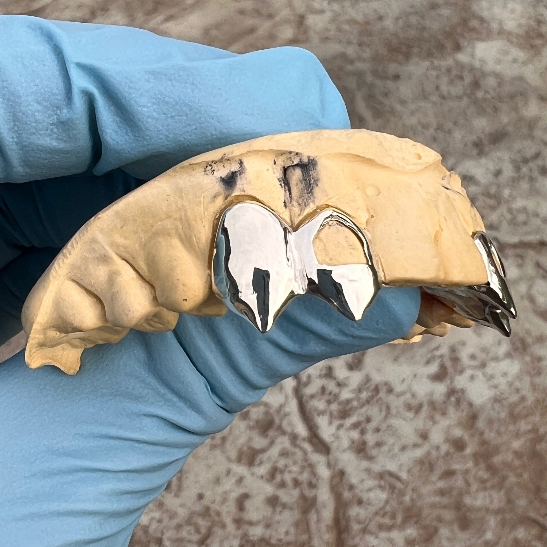 925 Sterling Silver Double Vampire Fangs Open Face Fang Custom Grillz