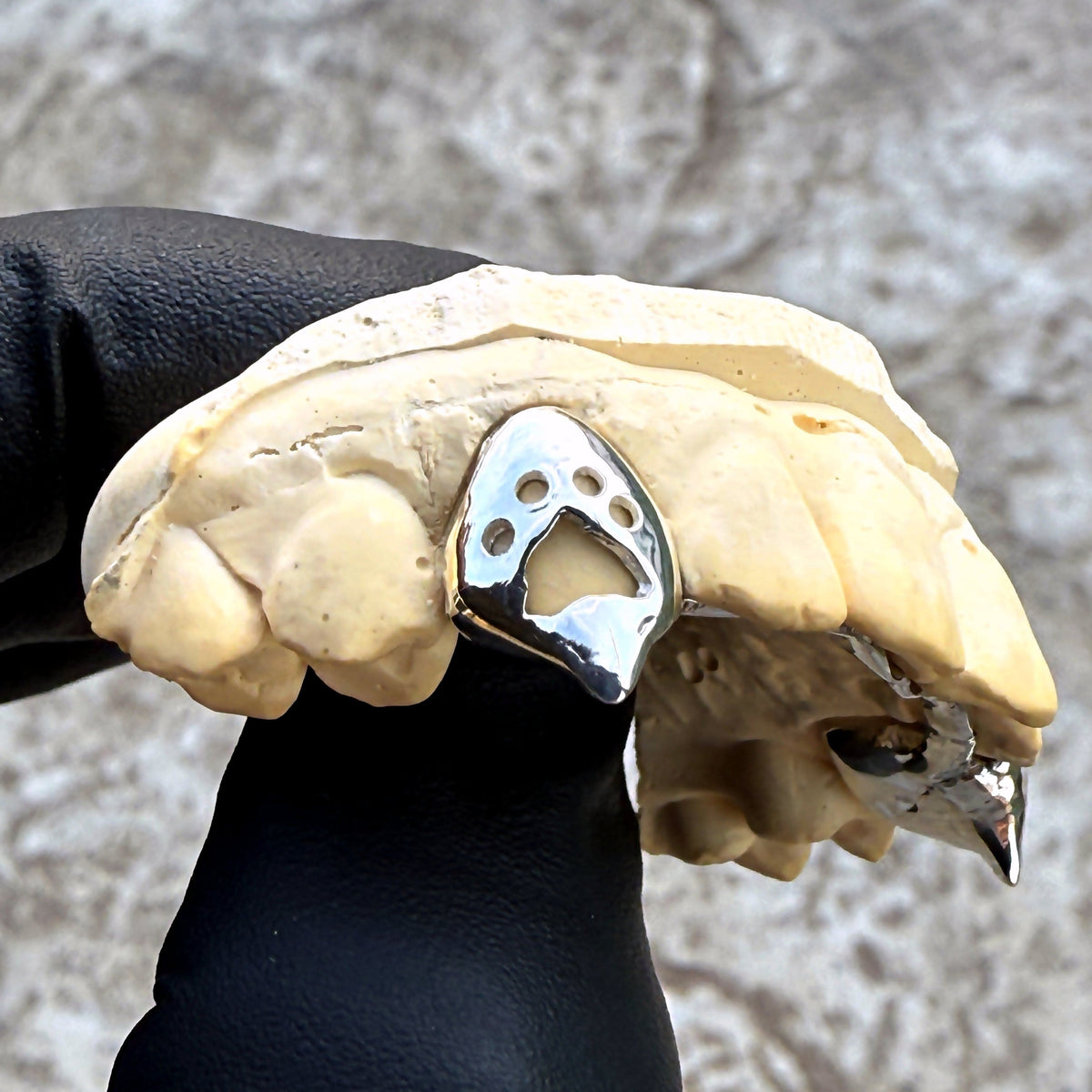 925 Sterling Silver Paw Print Vampire Fang Single Tooth or Canine Teet