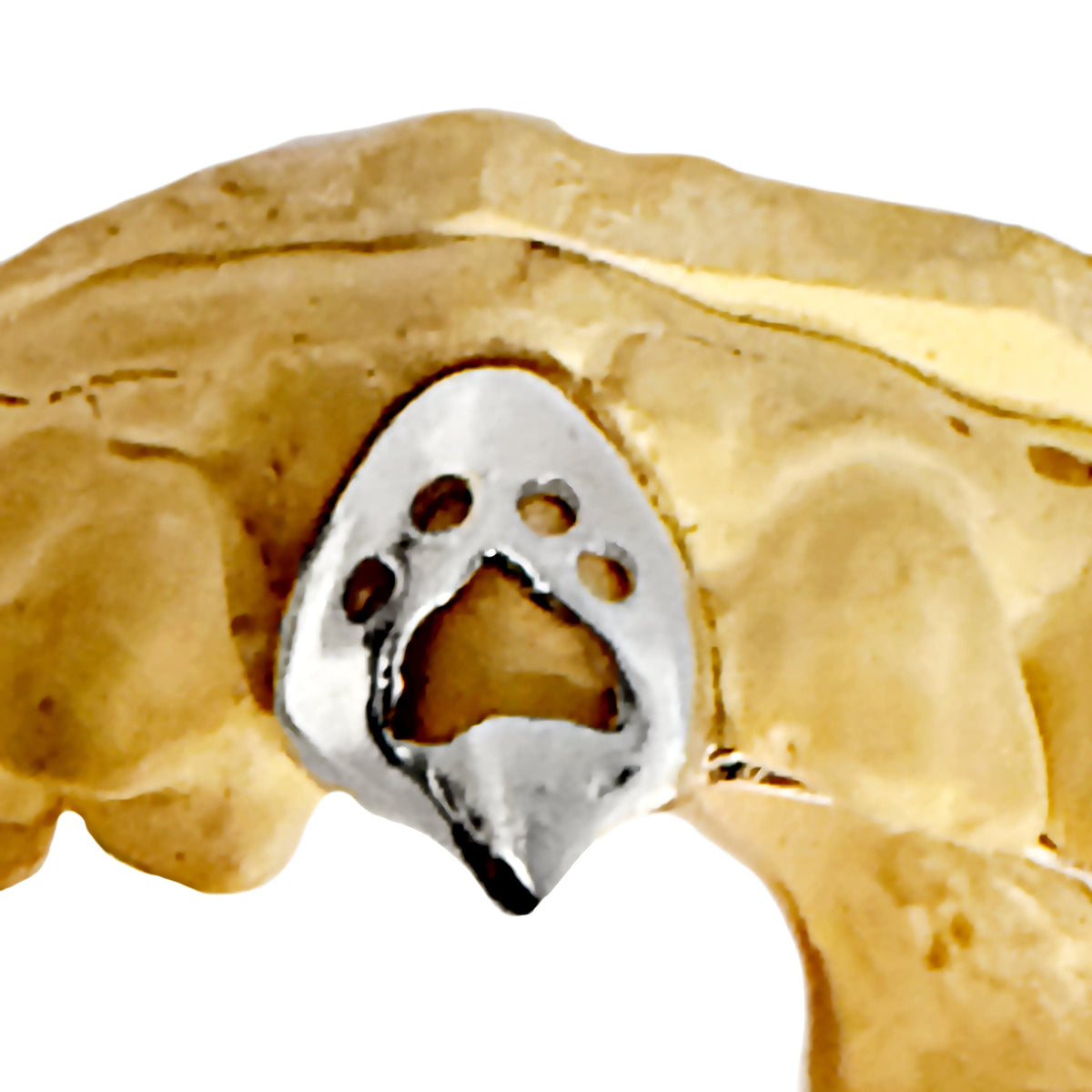 925 Sterling Silver Paw Print Vampire Fang Single Tooth or Canine Teet