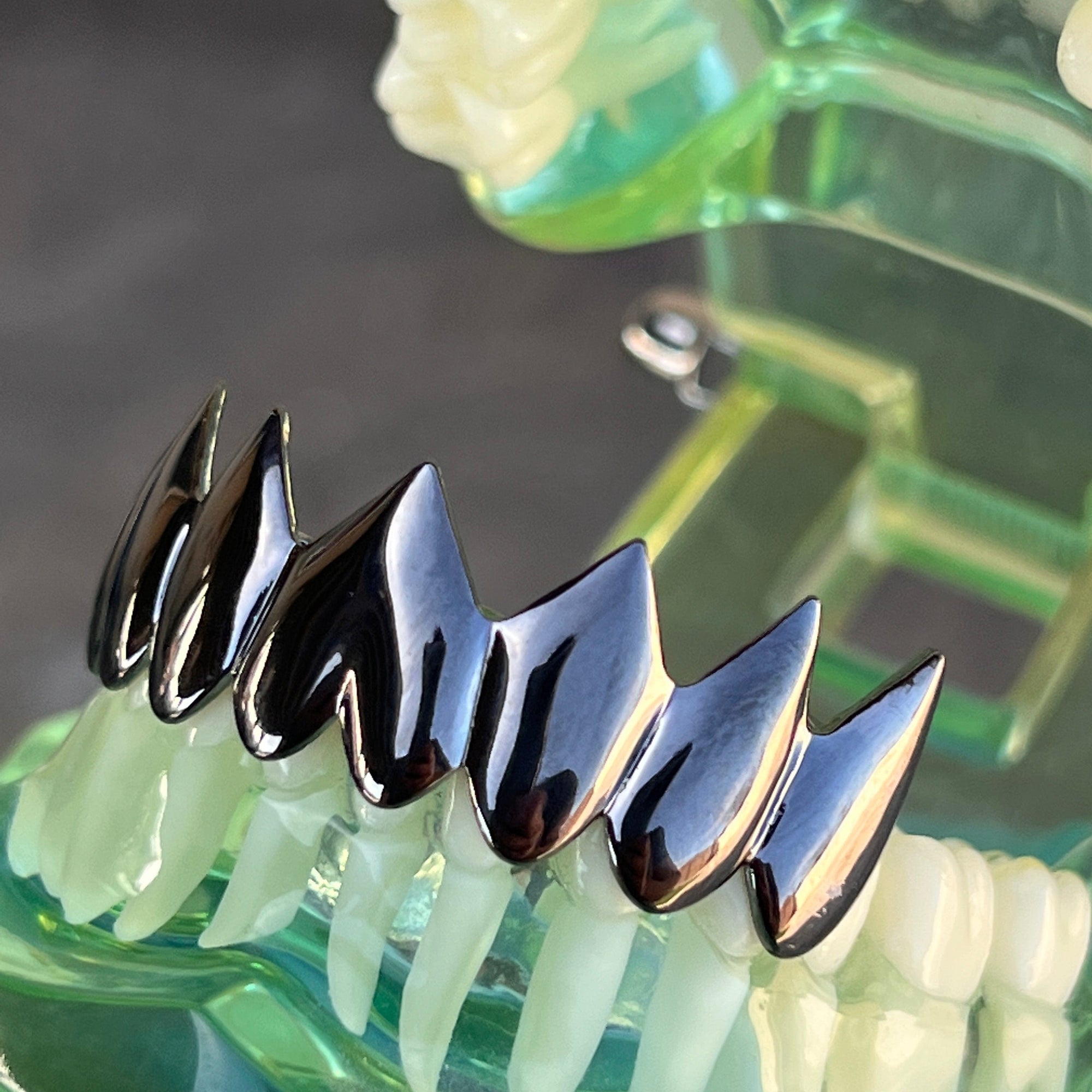 Black Shark Grillz Eight Bottom Teeth 8 Tooth Grills