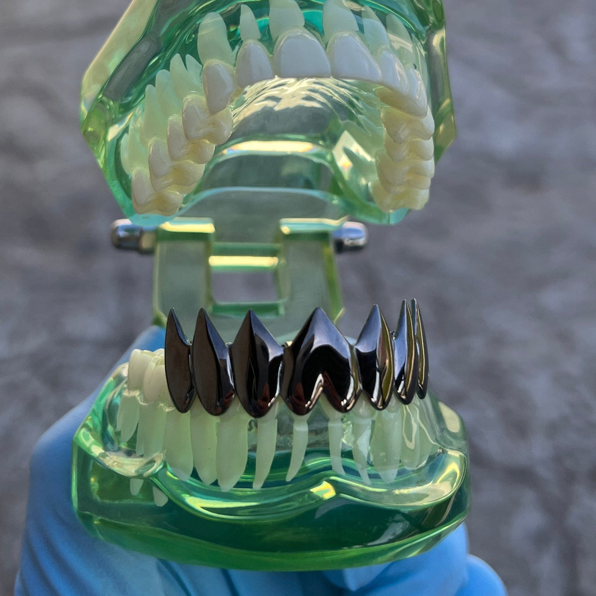 Black Shark Grillz Eight Bottom Teeth 8 Tooth Grills