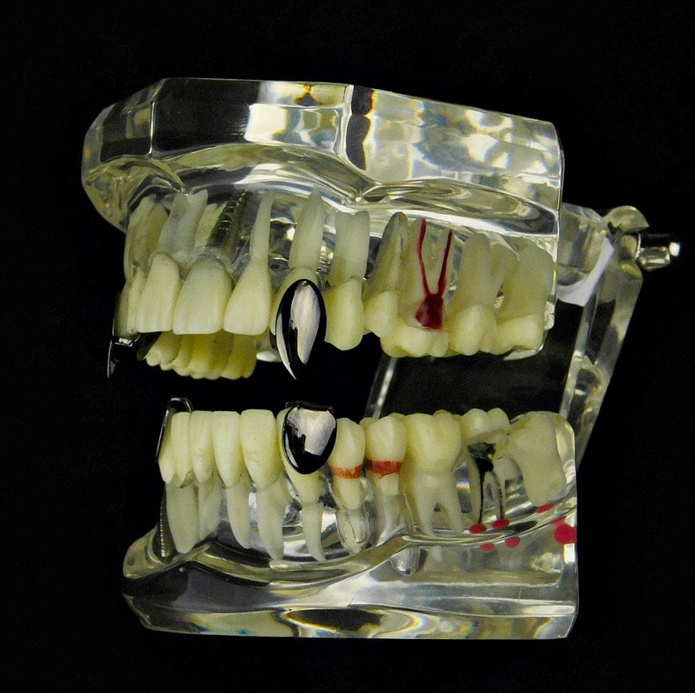 Gunmetal Black Vampire Fangs & Single Caps Set