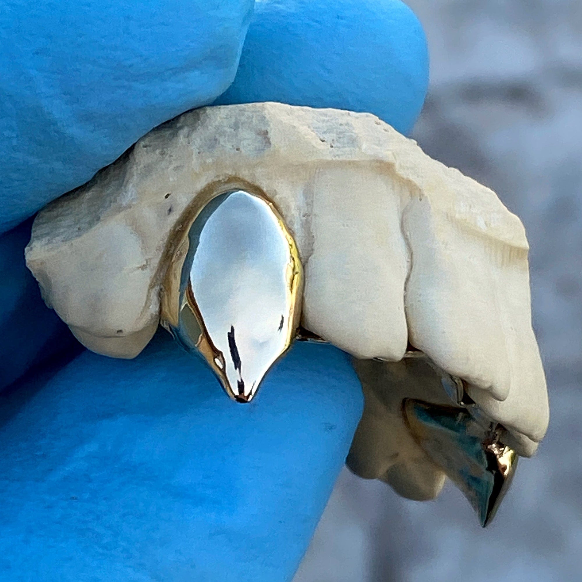 Real 10k Gold Vampire Teeth Vampire Canine Fangs Custom Grillz