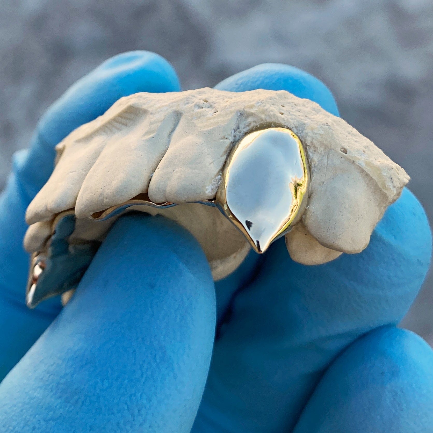 Real 10k Gold Vampire Teeth Vampire Canine Fangs Custom Grillz