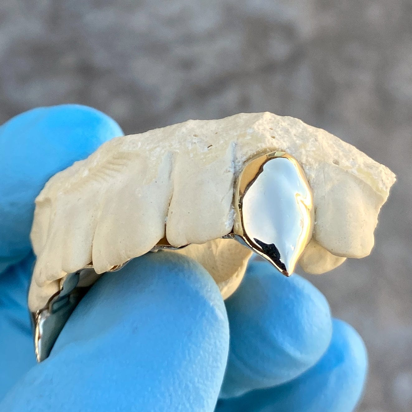 Real 10k Gold Vampire Teeth Vampire Canine Fangs Custom Grillz