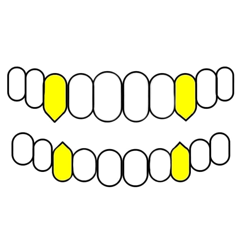 Gold Plated over 925 Sterling Silver Custom Vampire Fangs Grillz