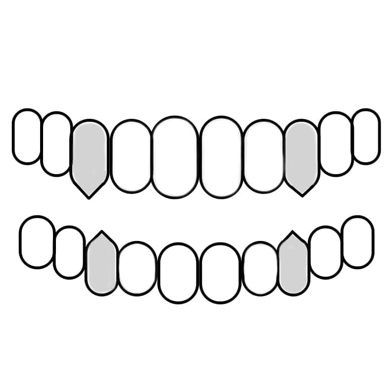 Real 10k White Gold Vampire Teeth Fangs Custom Grillz