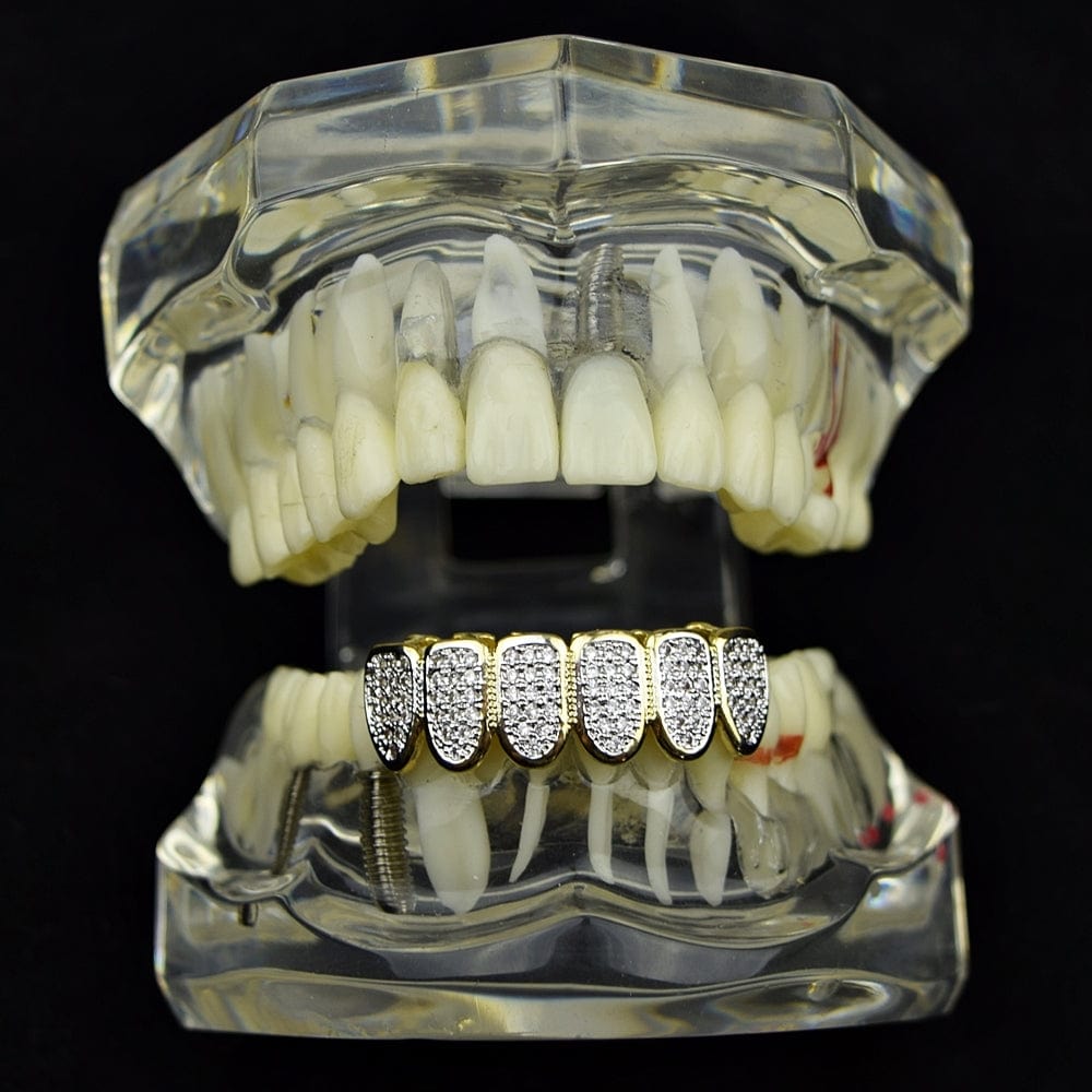 14K Gold Plated Premium CZ Iced Two -Tone Bottom Teeth Micro Pave Gril